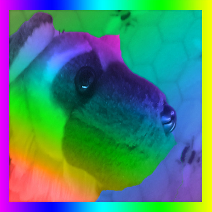 Turn Up The Hue | Spott | CreatureCore