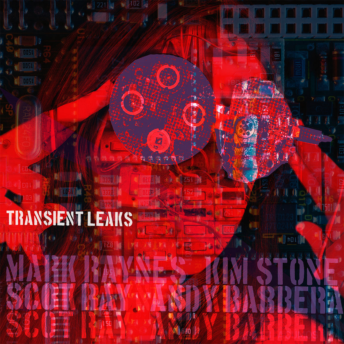 Transient Leaks 2023 REMASTER | Barbera, Ray, Stone & Raynes | Mark Raynes