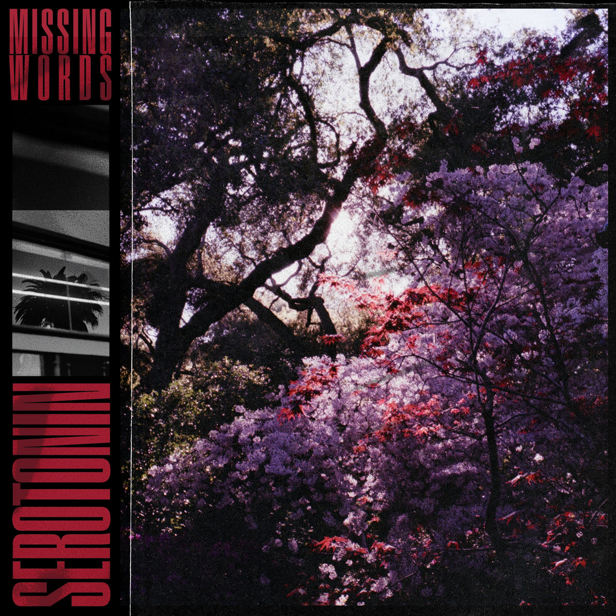 Lately | Missing Words & I Am Snow Angel | NewRetroWave