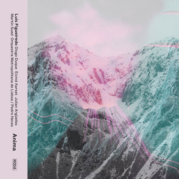 Anima | Luís Figueiredo | Roda Music Label