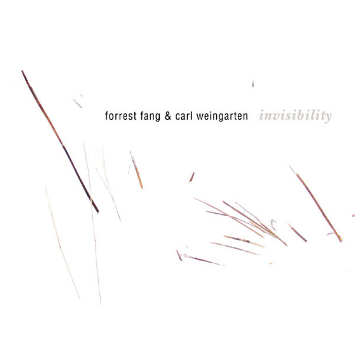 Invisibility | Forrest Fang + Carl Weingarten | The Foundry