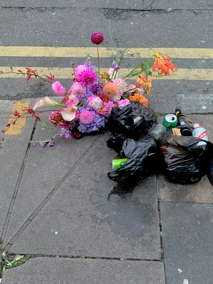 dog's paw trio, live @ Skronk | dog's paw trio : Jordan Muscatello | Ed ...