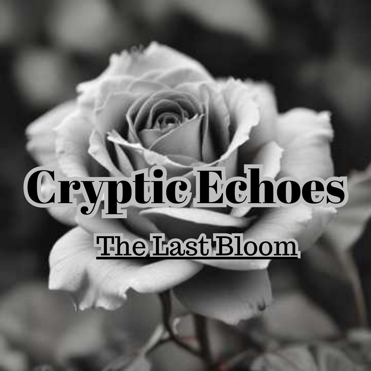 The Last Bloom | Cryptic Echoes