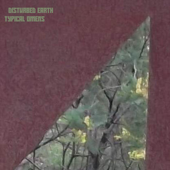 Music | Disturbed Earth