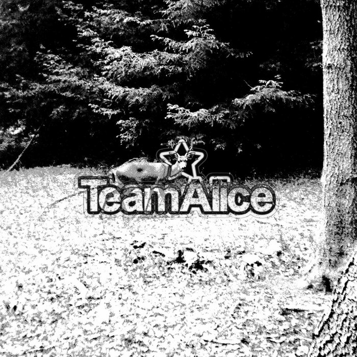 TA Demo #1 | Team Alice