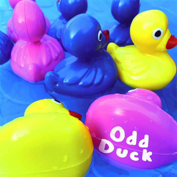 You're The One | Odd Duck