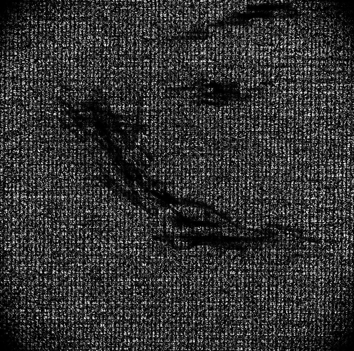 MUZAK FOR MISANTHROPES VOL.1+2 | RAY SHINN