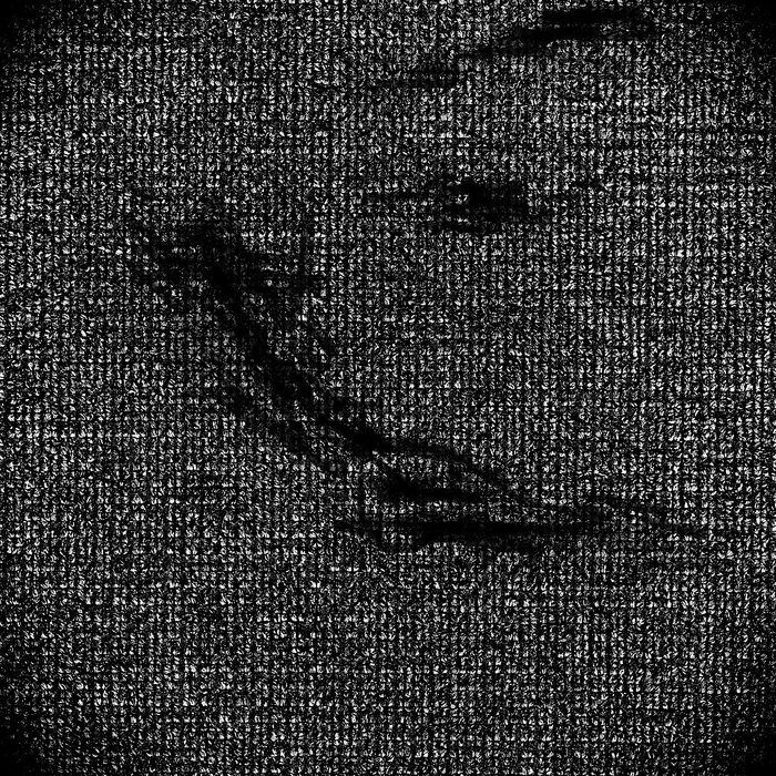 MUZAK FOR MISANTHROPES VOL 1 2 RAY SHINN