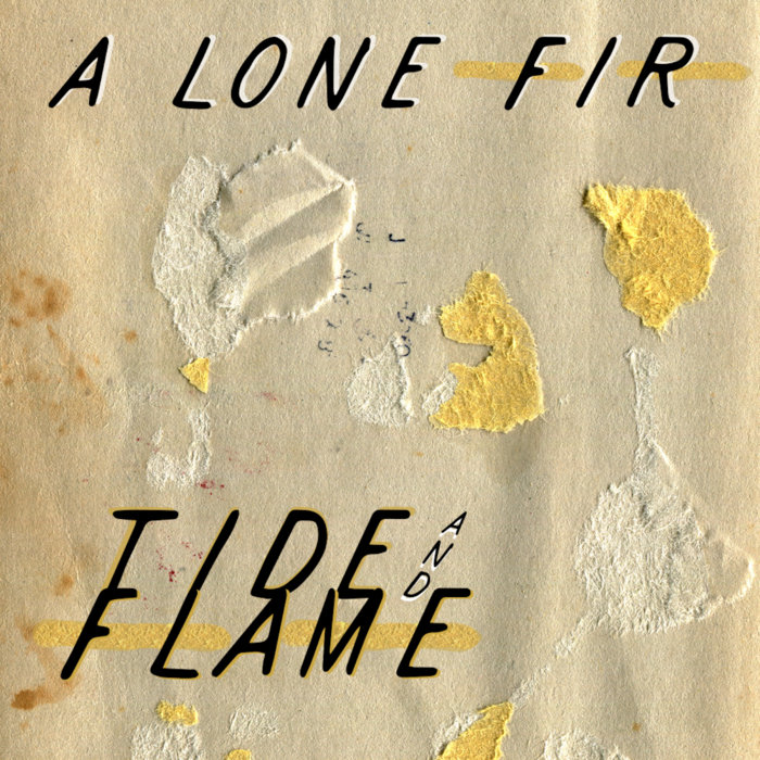A Lone Fir | Tide & Flame