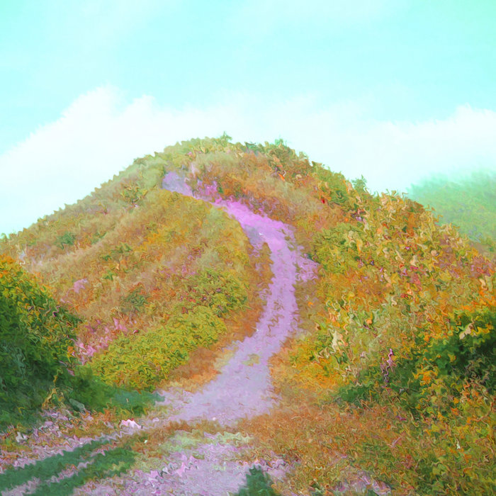 For The Birds On Hermit's Hill | Promweather