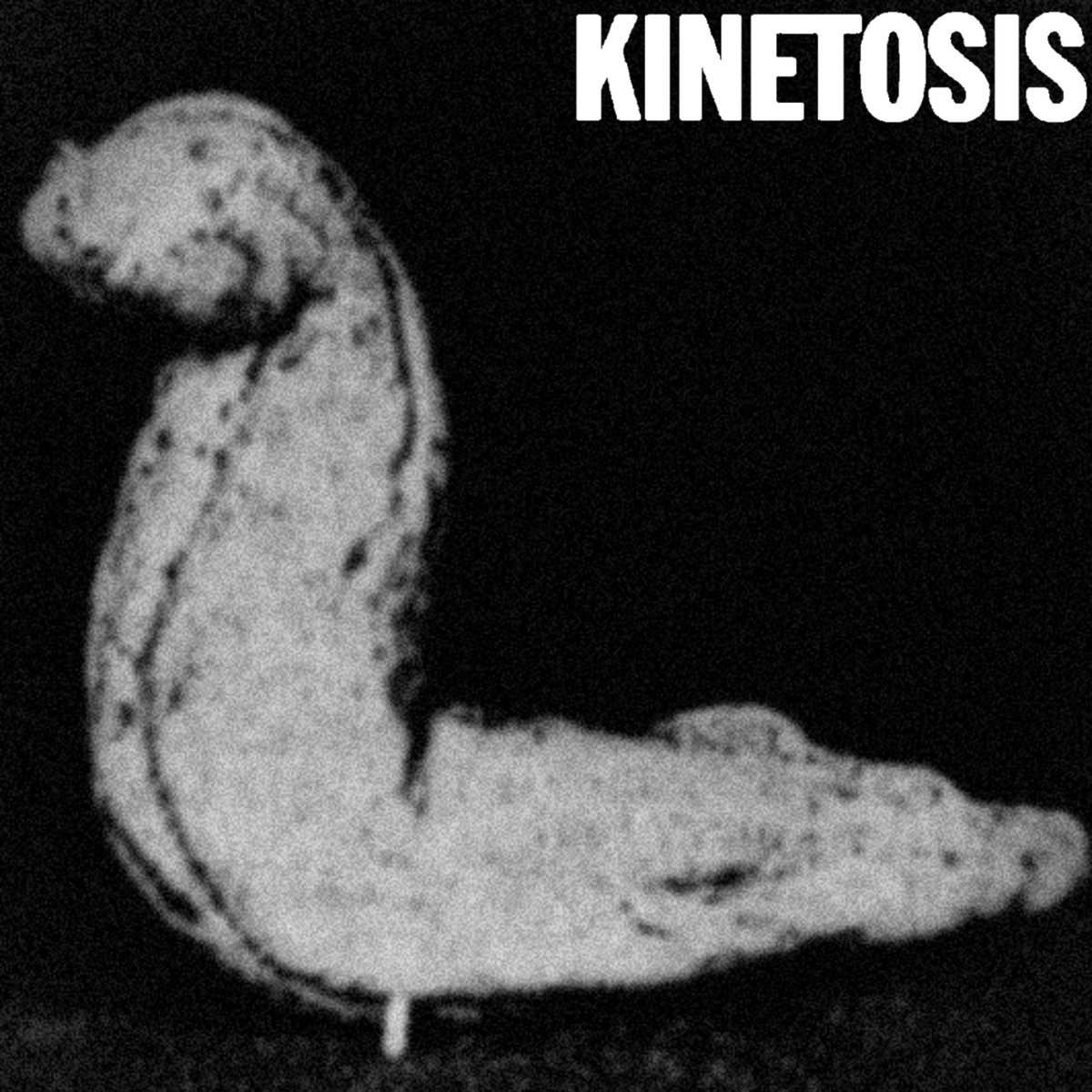 This Is Not a Penis | Kinetosis