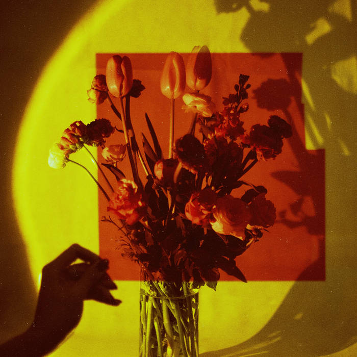 Tumblr Photography Yellow