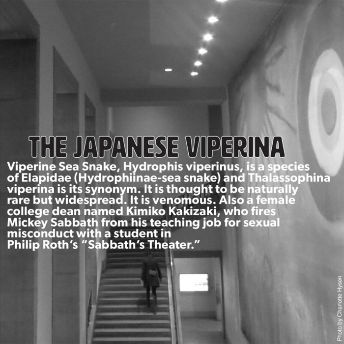 Japanese Viperina | The Royal Arctic Institute