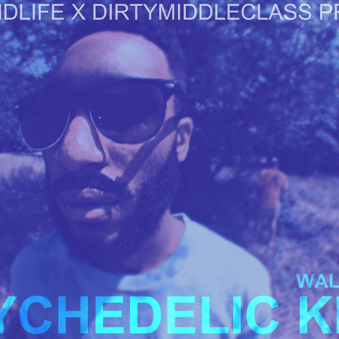 Psychedelic King | Walt Fraze | Walt Fraze Shit