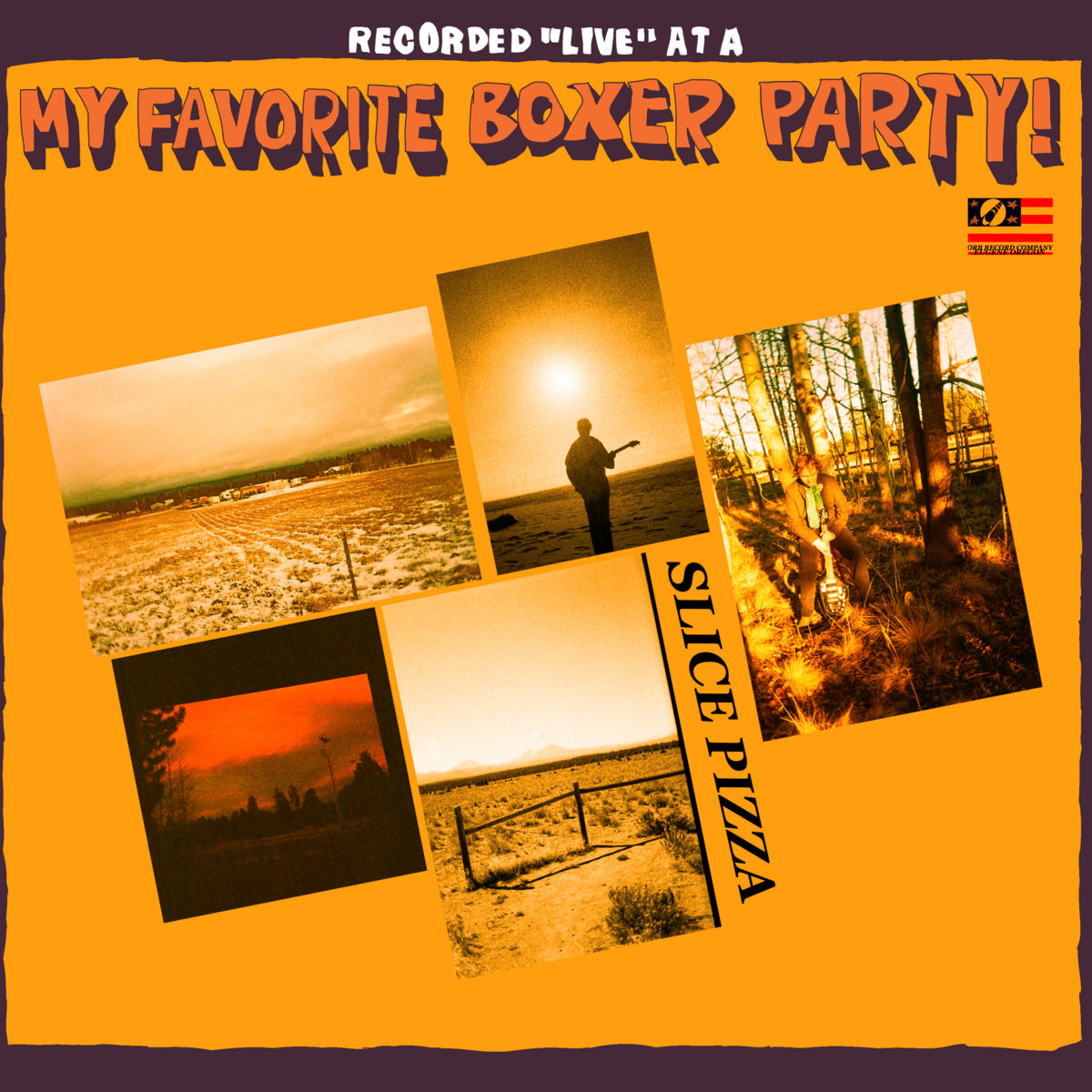 My Favorite Boxer Party! | my favorite boxer