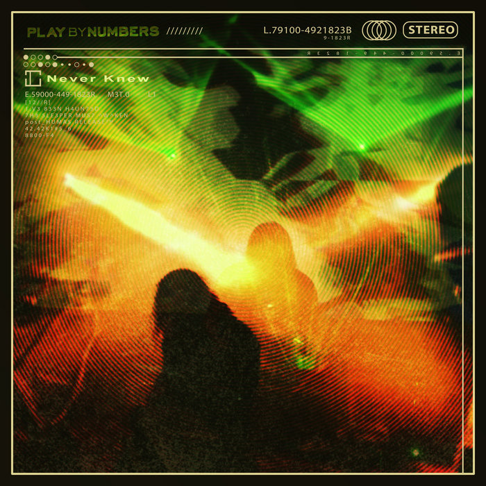 Never Knew | Play By Numbers