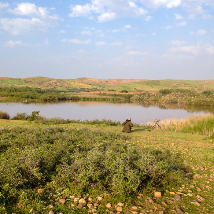 Moroccan Soundscapes | Robert Malpas