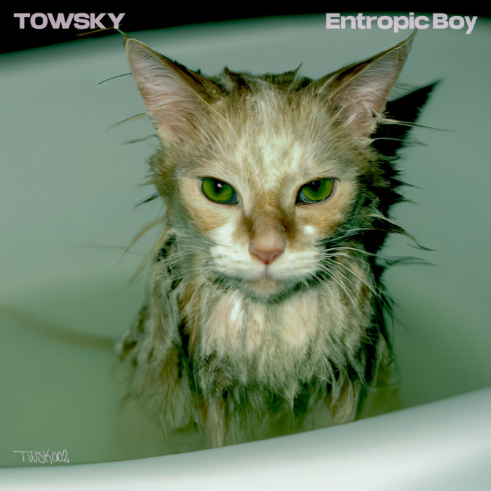 Entropic Boy EP - TWSK002 | Towsky