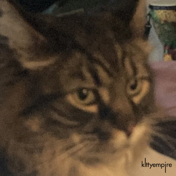 Music | Kitty Empire