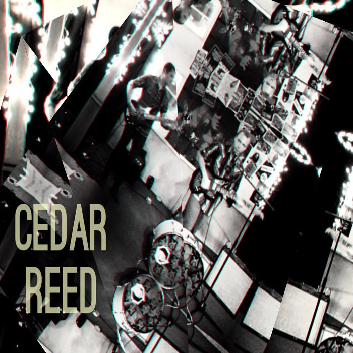 Cedar Reed [Band] | Andy Reid, Dan Burkett | Andy Reid