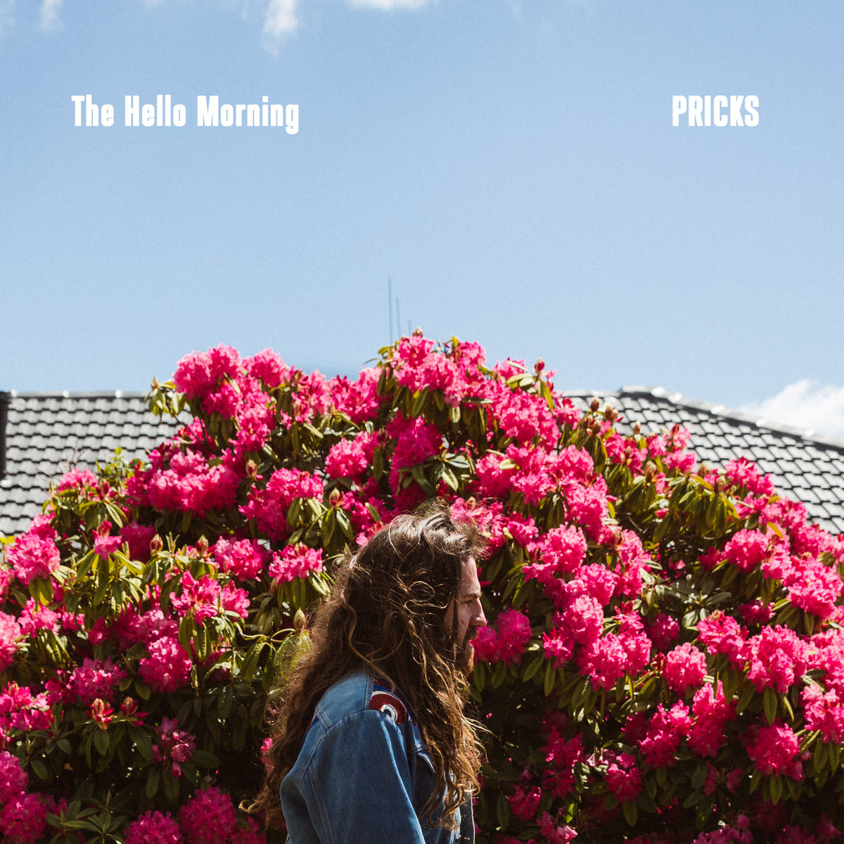 Pricks | The Hello Morning