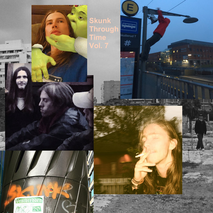 Skunk Through Time Vol. 7 | The Band Skunk