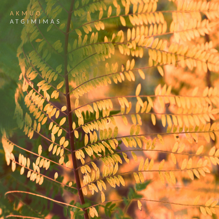 Akmuo - Atgimimas | Akmuo | Cold Tear Records