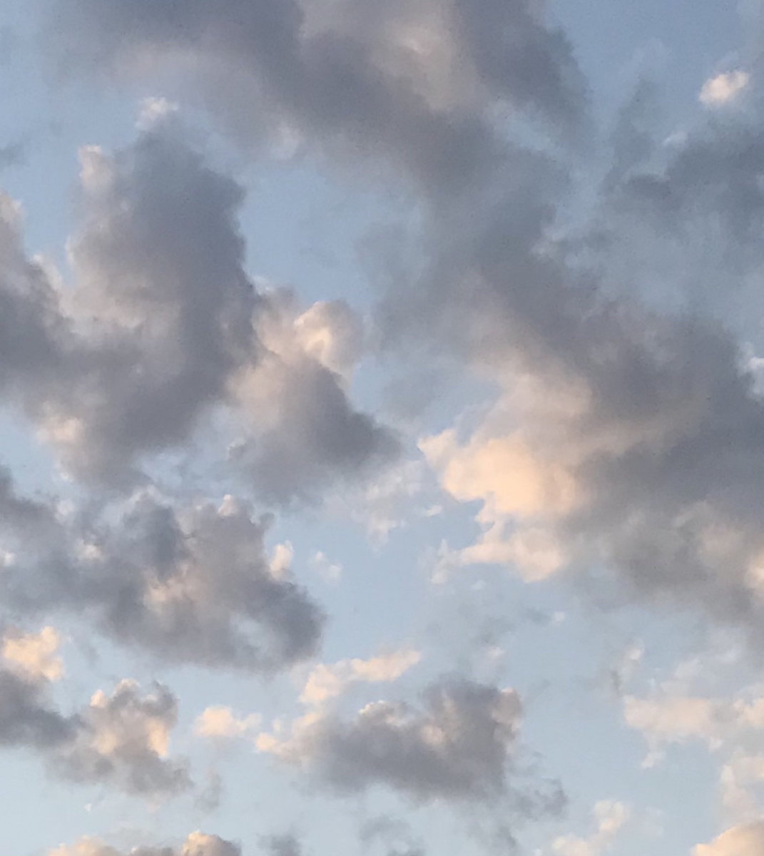 The Quarantine Tapes | Bobby Winstead