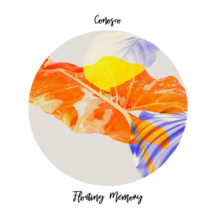 Floating Memory | Conosco | trndmsk