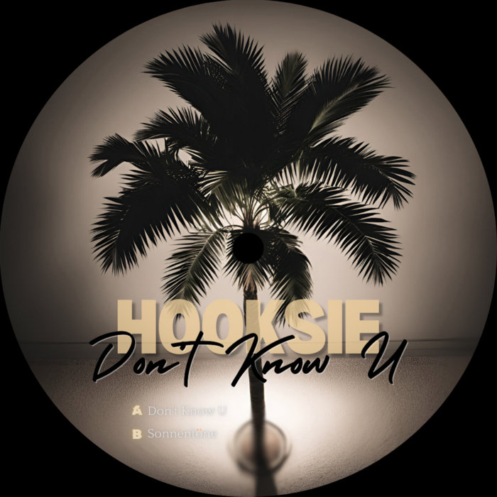 Don't Know U | Hooksie