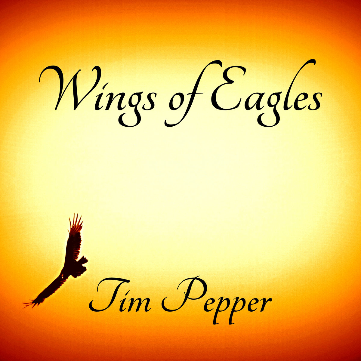 Wings of Eagles | Tim Pepper