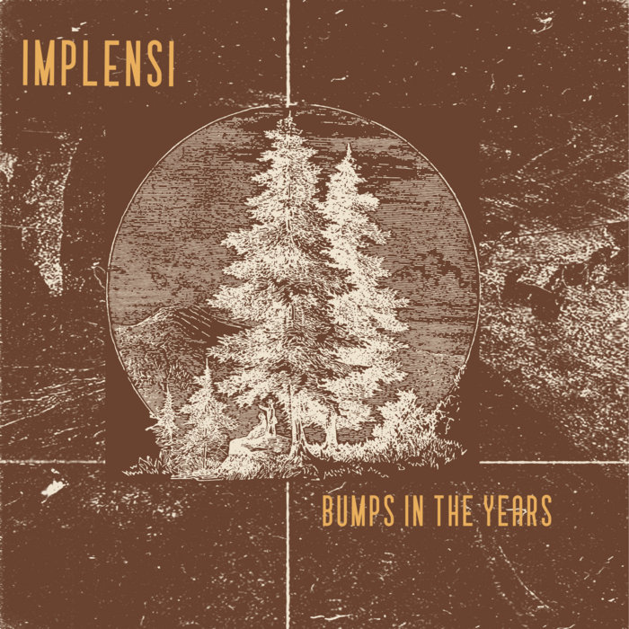 Bumps in the Years | implensi