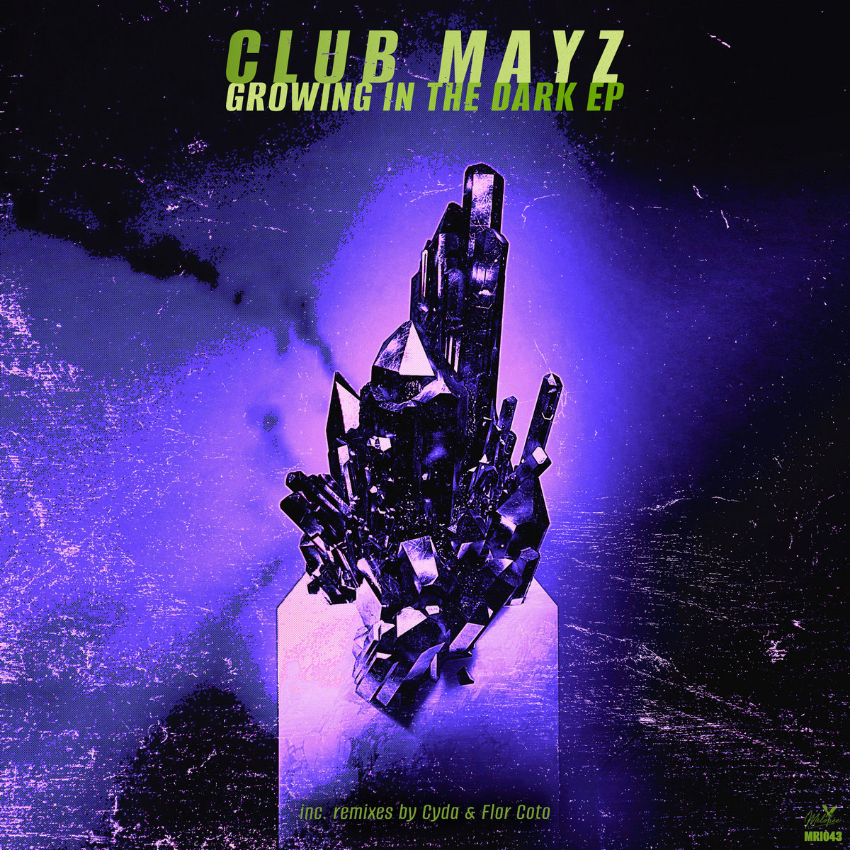 Growing In The Dark | Club Mayz