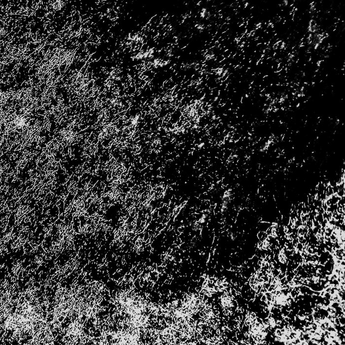 Henry Trigg/H Trigg Split | Henry Trigg