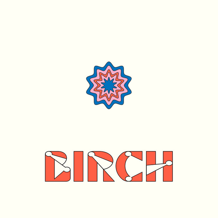 Birch | Colour Box