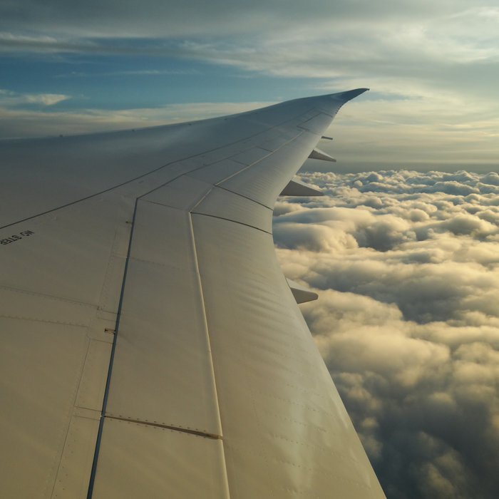 the Flight Home | Jim Hilbert