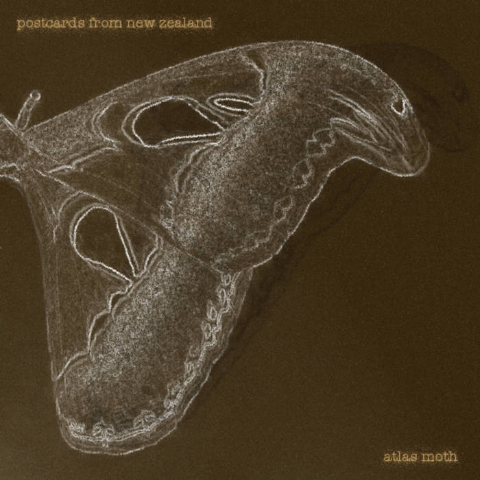 Atlas Moth Band