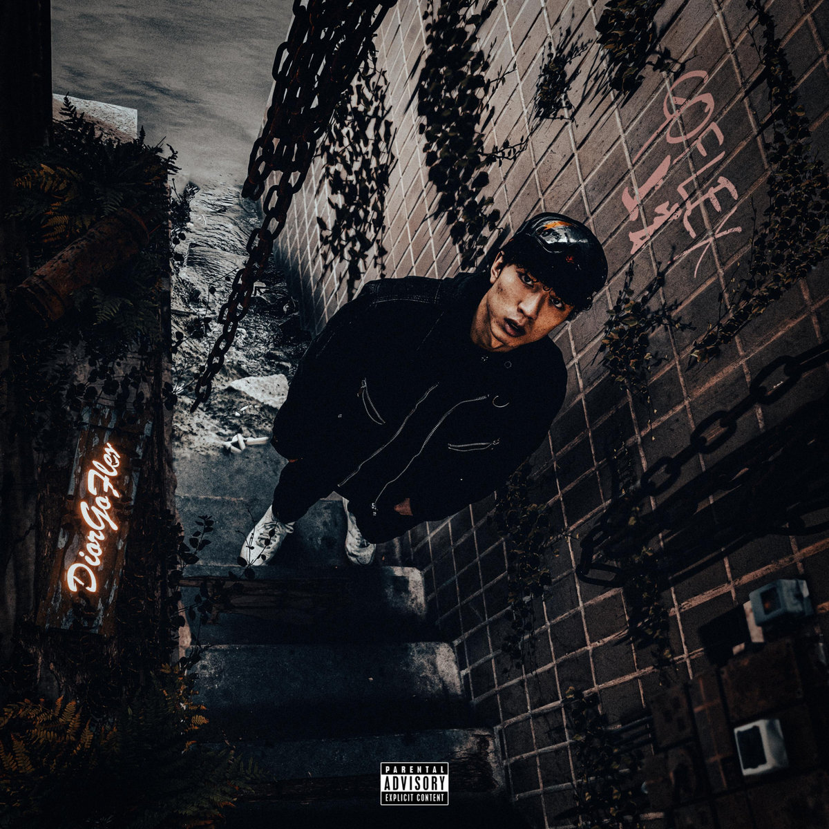 Go Flex上岸 | DiorGoFlex | Showstart-release