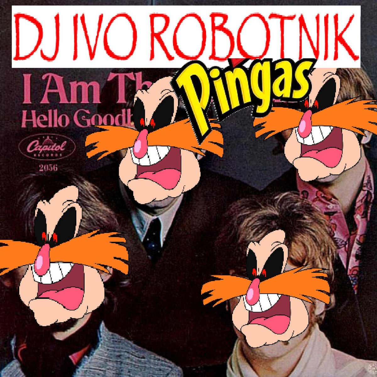 I Am the Pingas | DJ Ivo Robotnik | Record Records