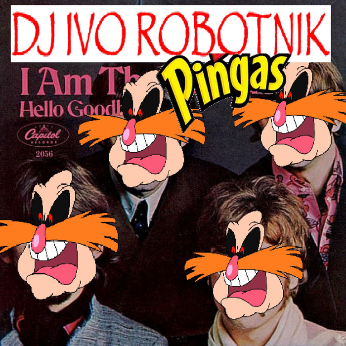 I Am the Pingas | DJ Ivo Robotnik | Record Records