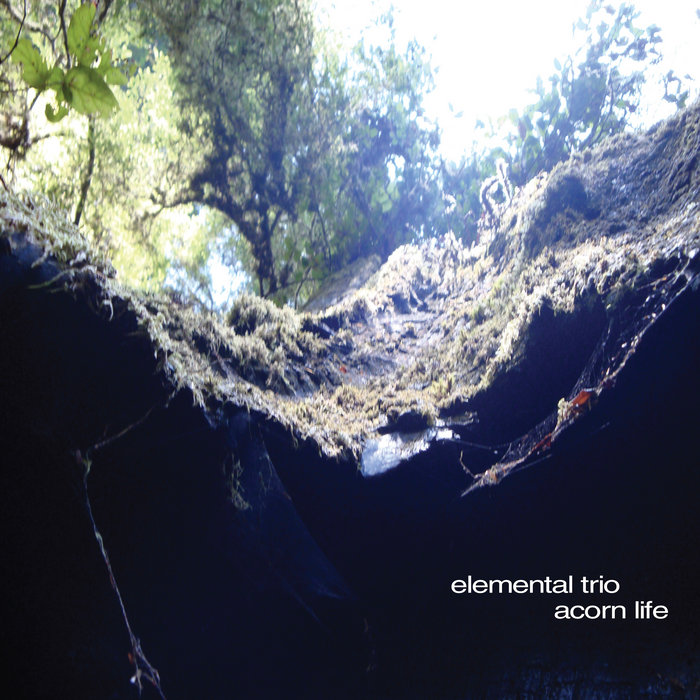 Acorn Life | Elemental Trio