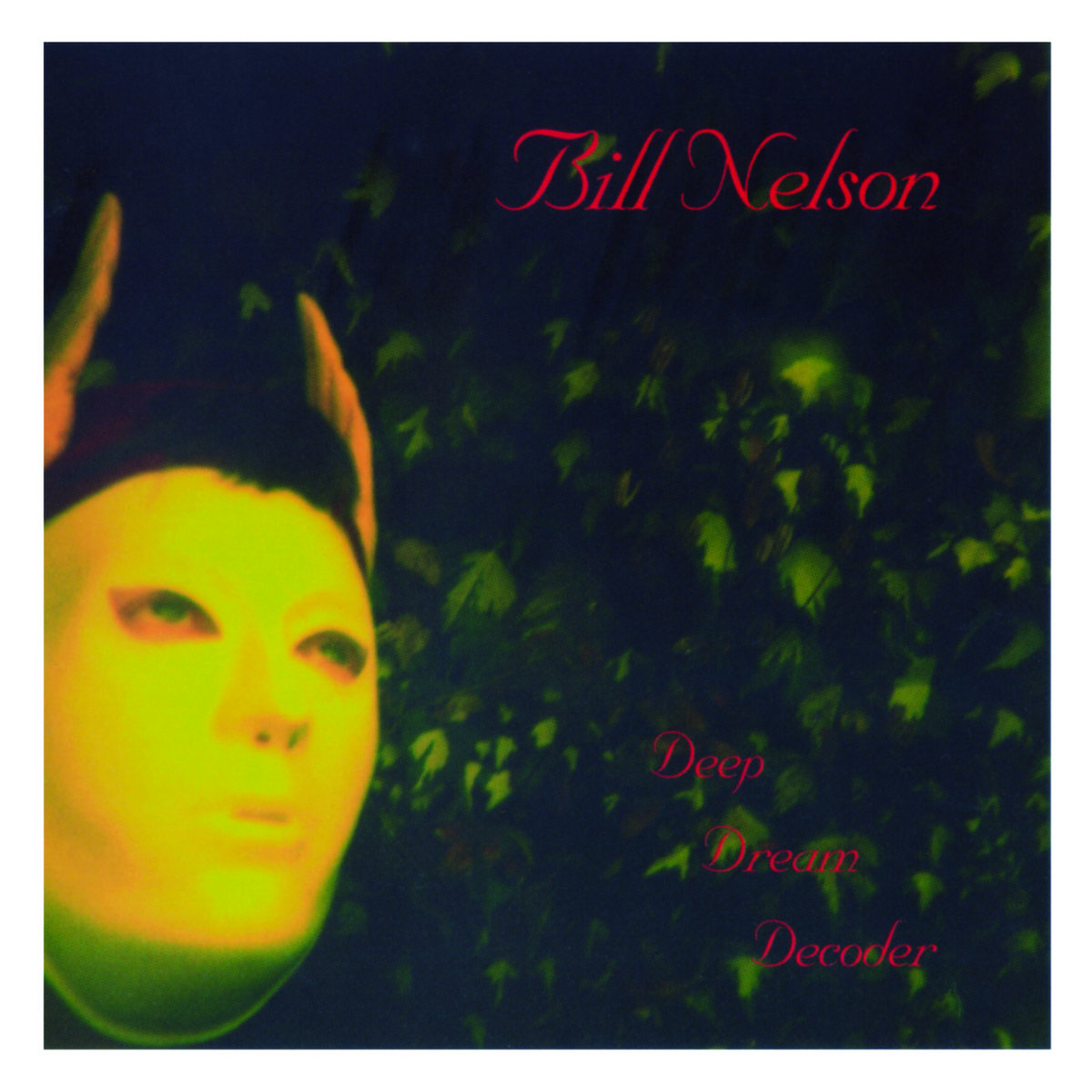 Deep Dream Decoder | Bill Nelson