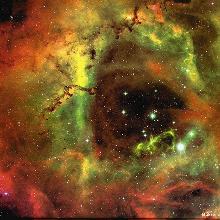 Main Sequence | Michael Neil