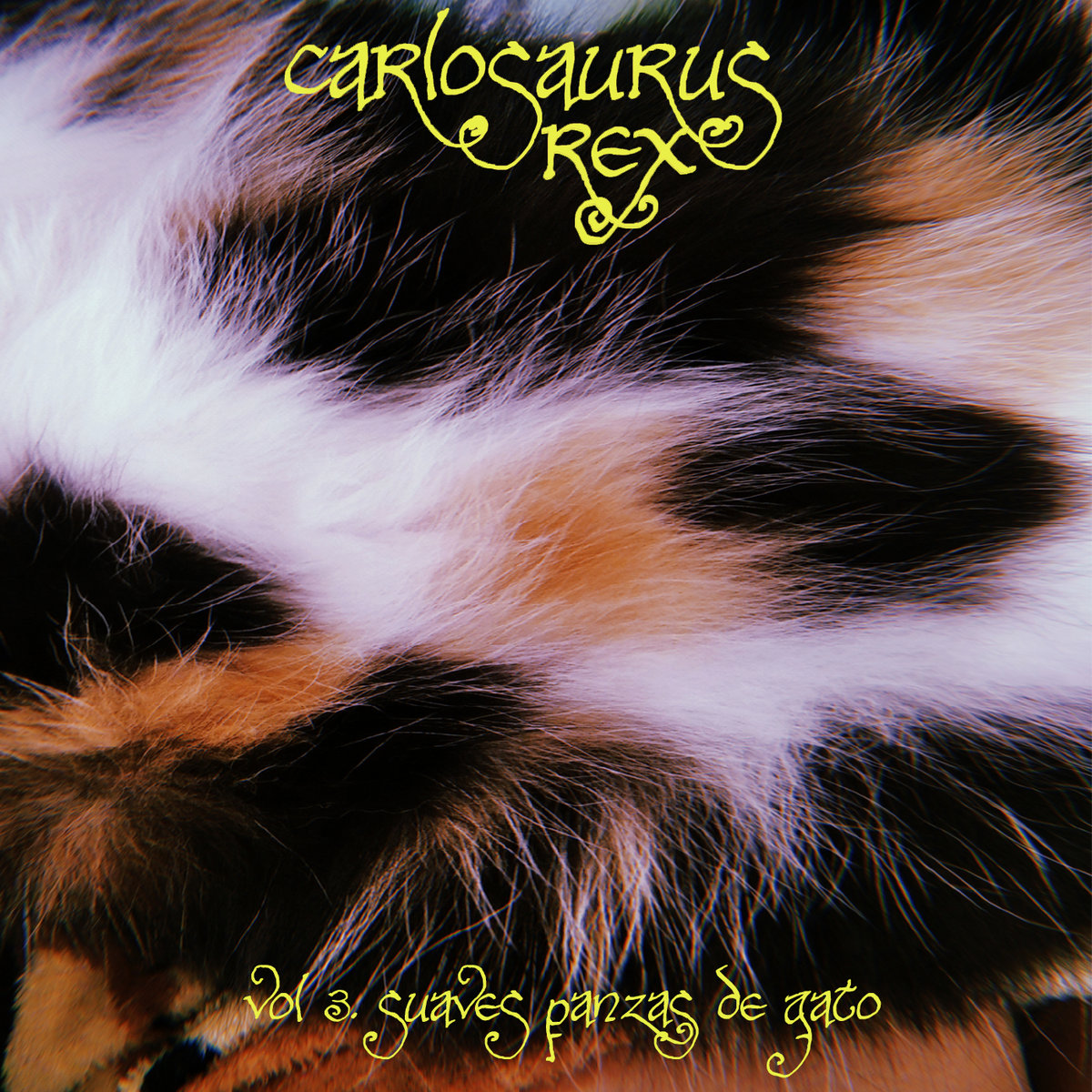 Vol3.-Suaves Panzas de Gato | Carlosaurus Rex