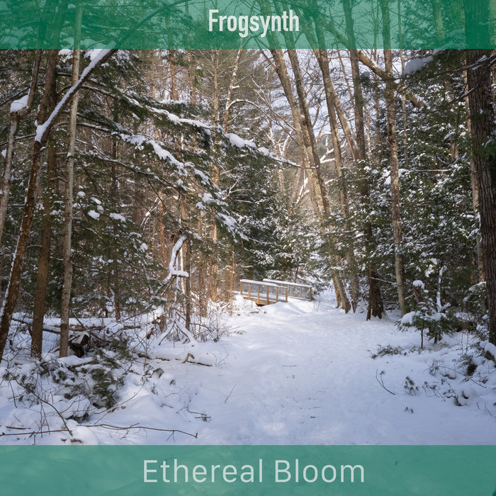 Ethereal Bloom | frogsynth