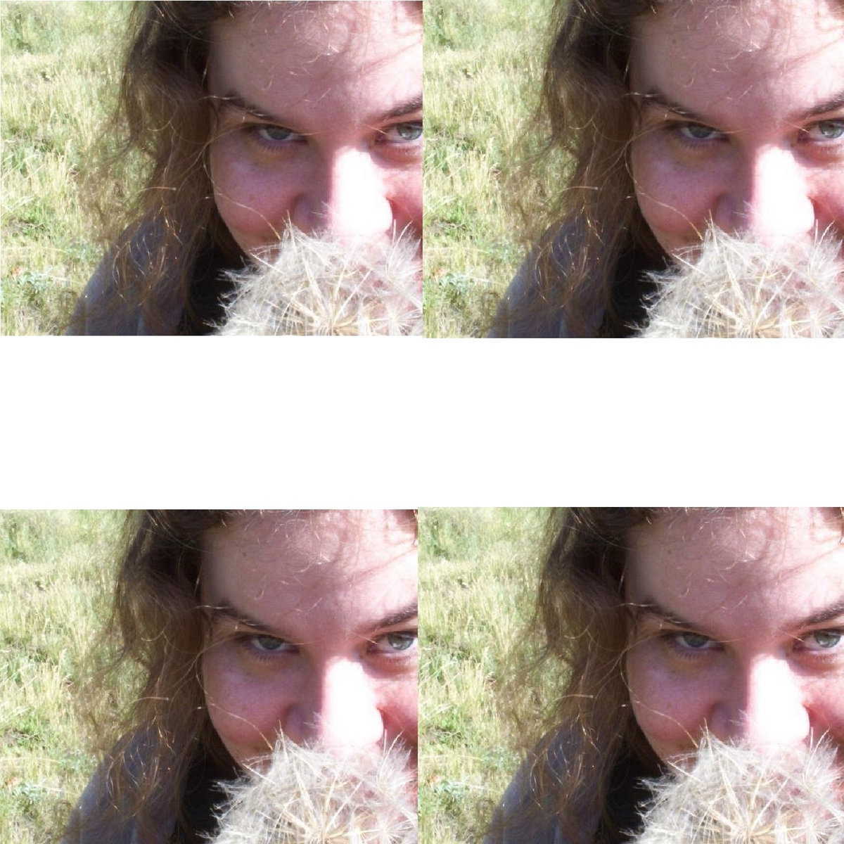 My Dandelion Friend | Summer Russell