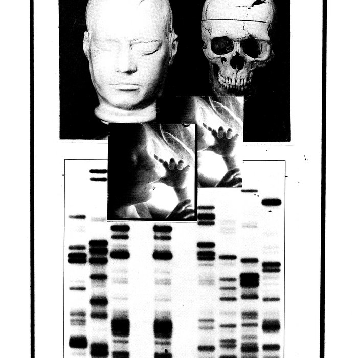 Evidence of a Lifestyle | POISON WAVE