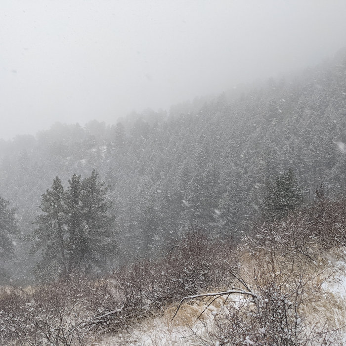 Winter Sketches 2022 | Adam Gao