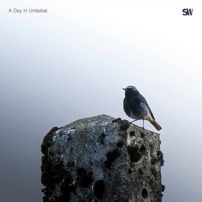 A Day In Urdaibai | Axel Drioli | Sounding Wild Records