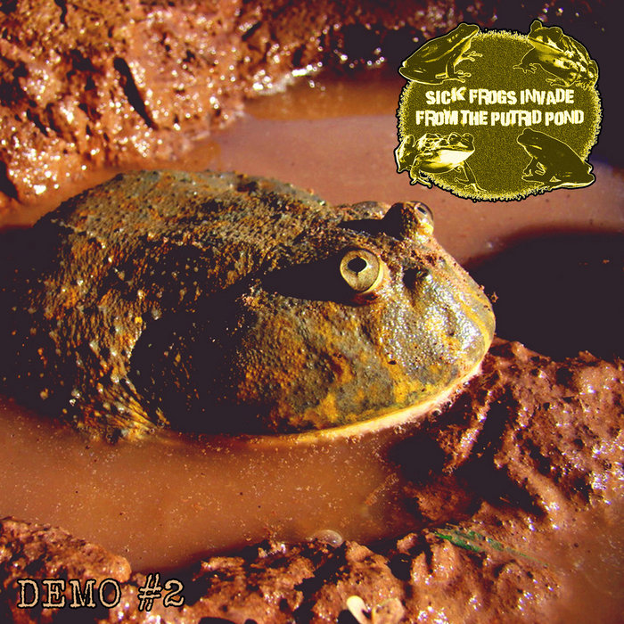 Demo #2 | Sick Frogs Invade From The Putrid Pond